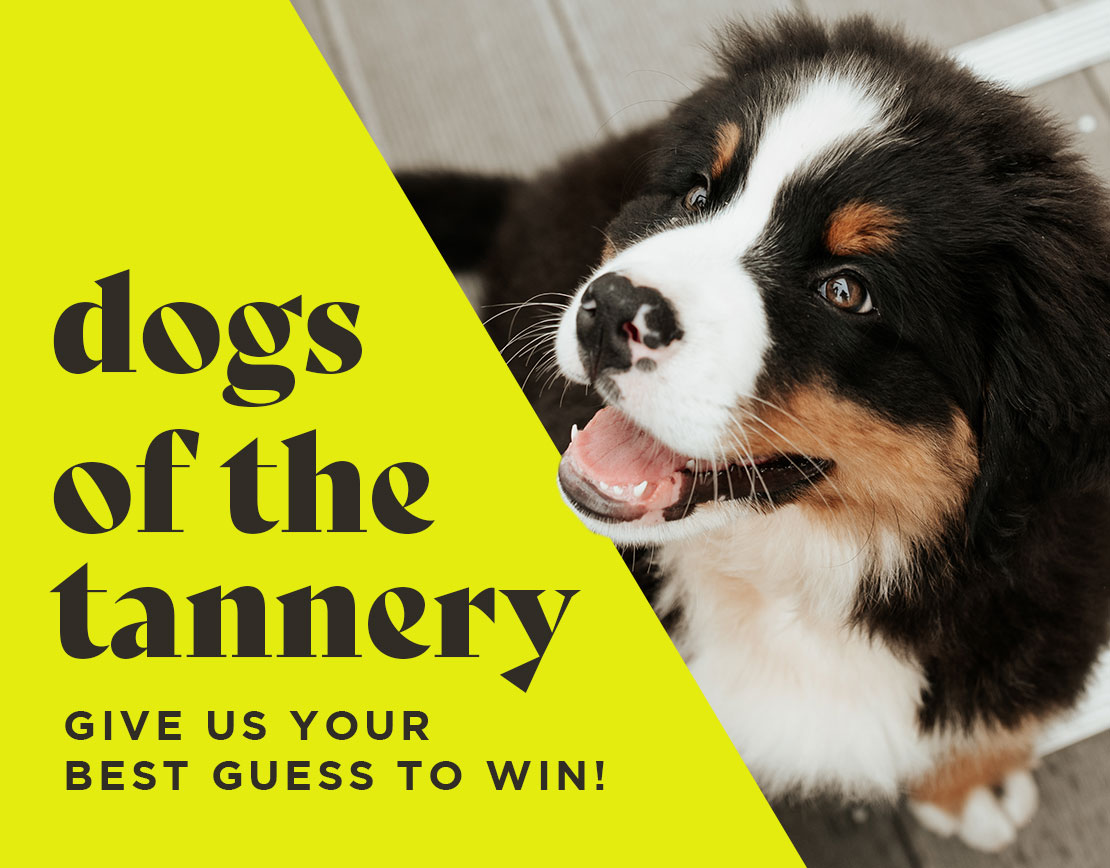 Boutique Shopping & Function Venue in Christchurch | The Tannery